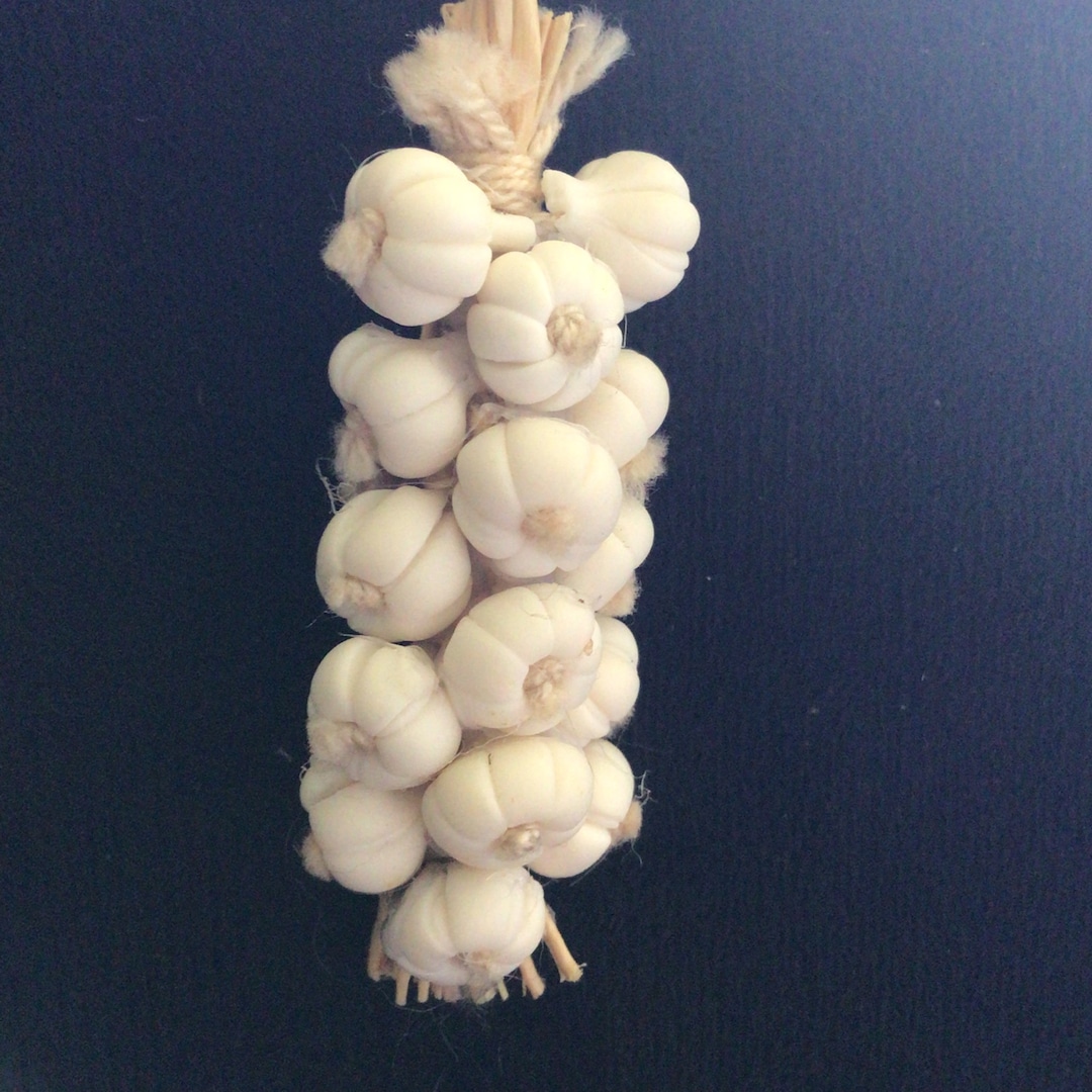 Garlic String Necklace 14,104 - Etsy