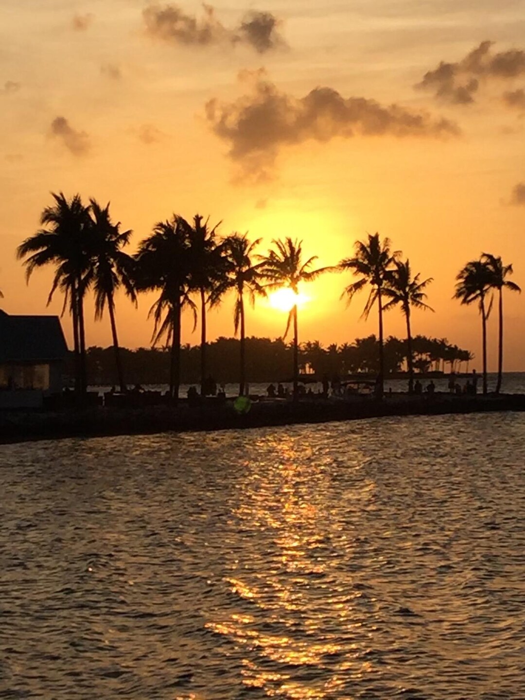 Florida Keys Sunset Photo | Palm Trees, Ocean View (digital Download ...