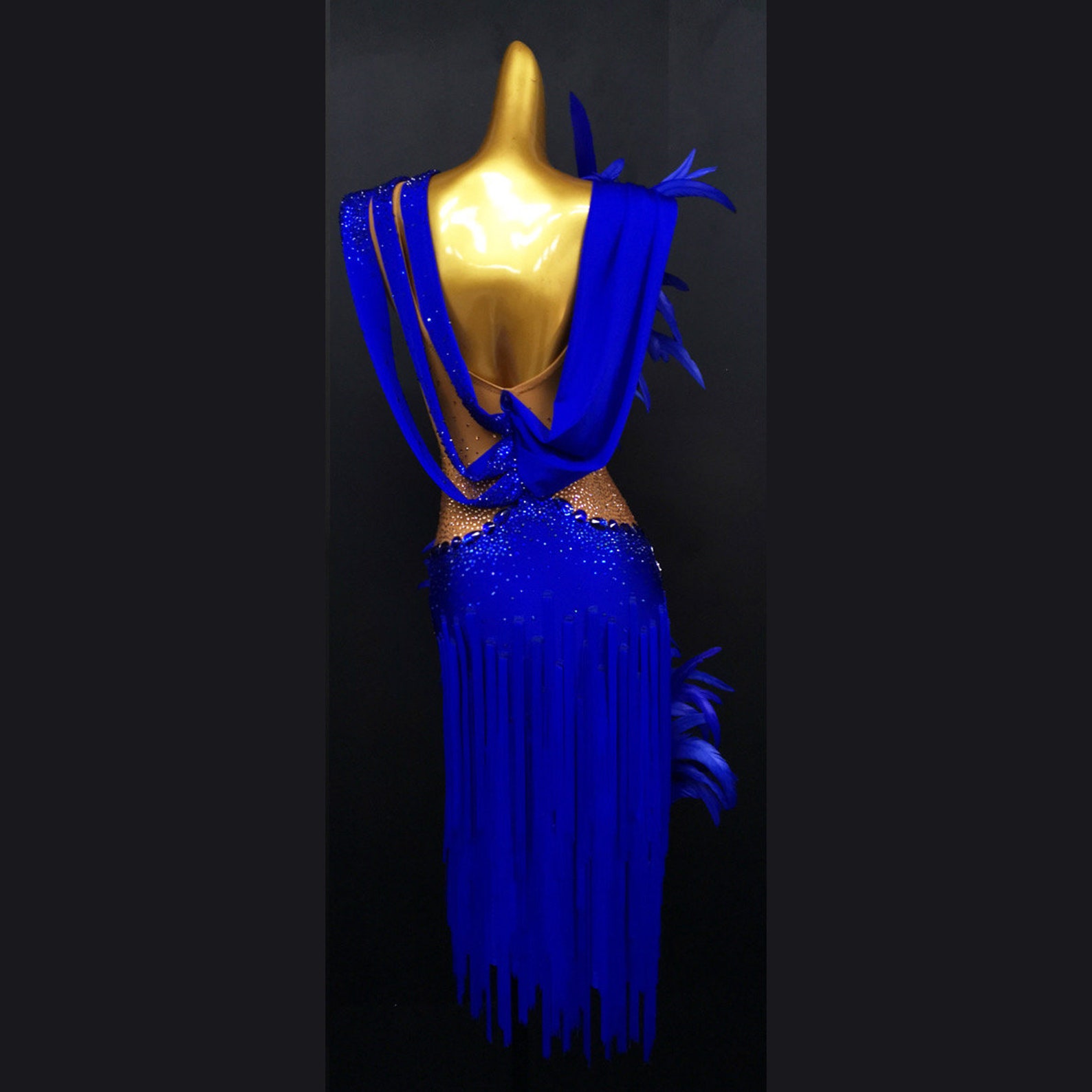 Blue Latin Dress With Feather and Fringe Rhythm Dress L0006 - Etsy