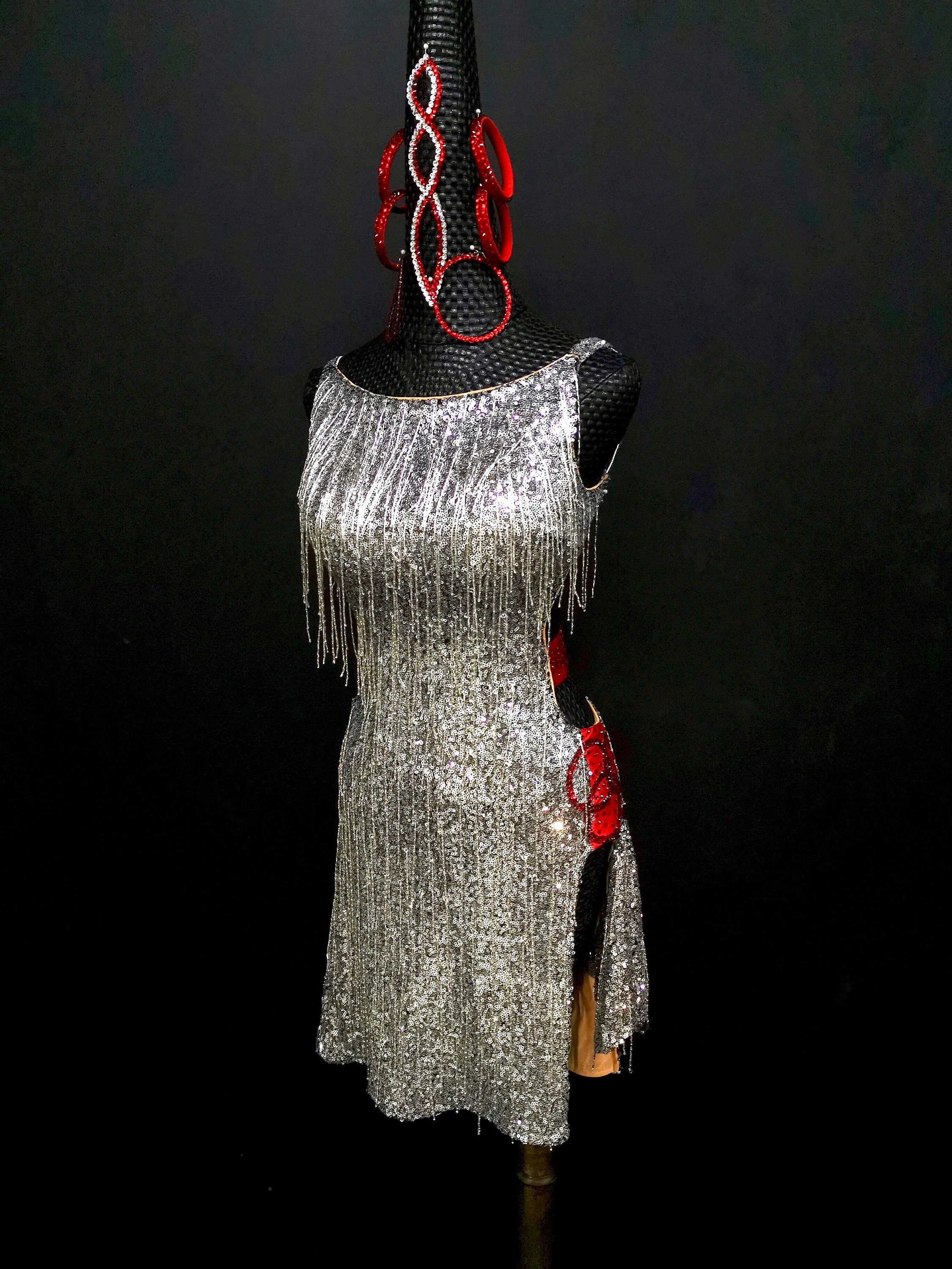 Silver Latin Dance Dress Silver Rhythm Dress With Beaded Fringe L0032 ...