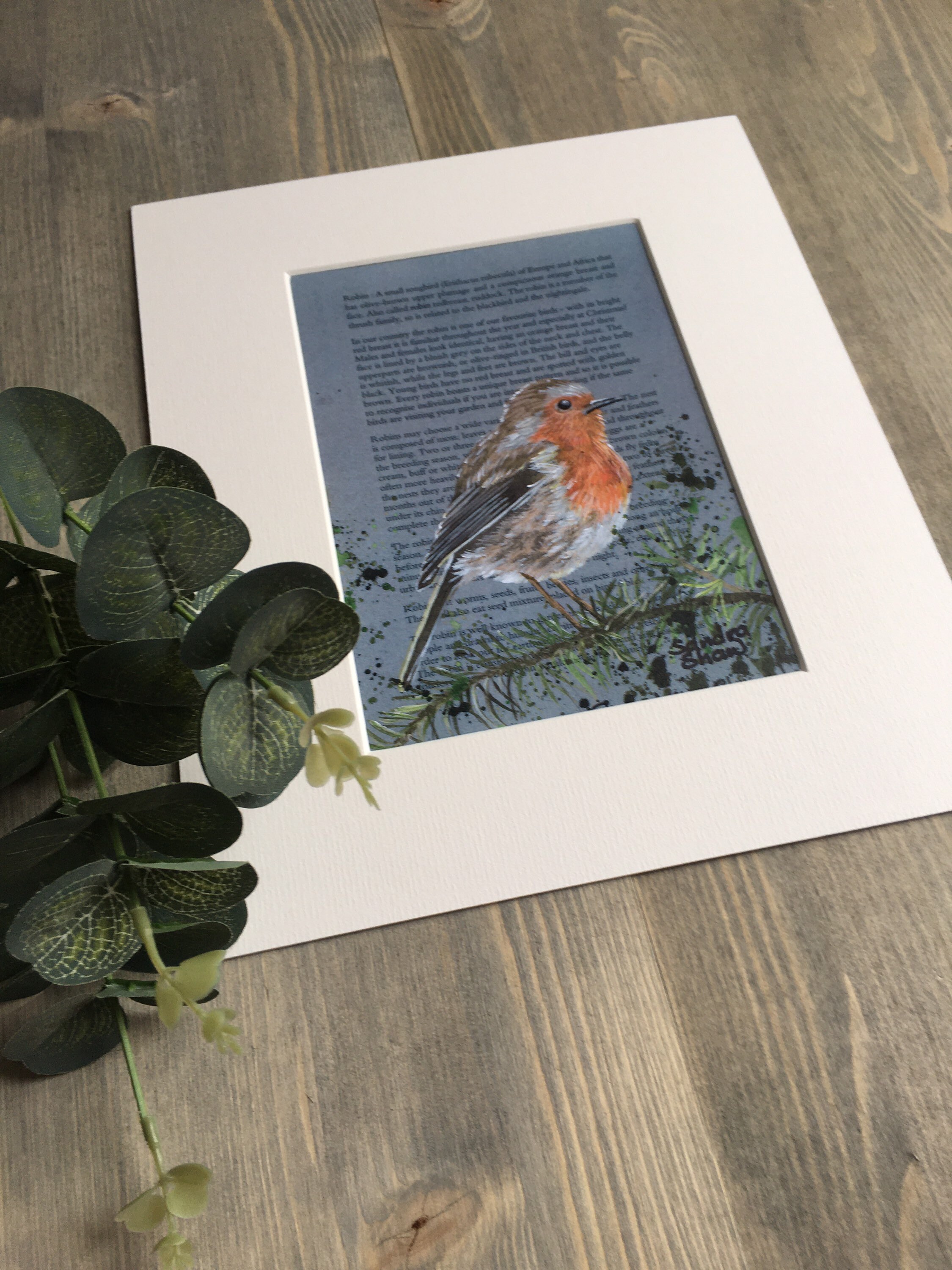 Cute Robin Print Robin Acrylic Print Robin on Branch Print - Etsy India
