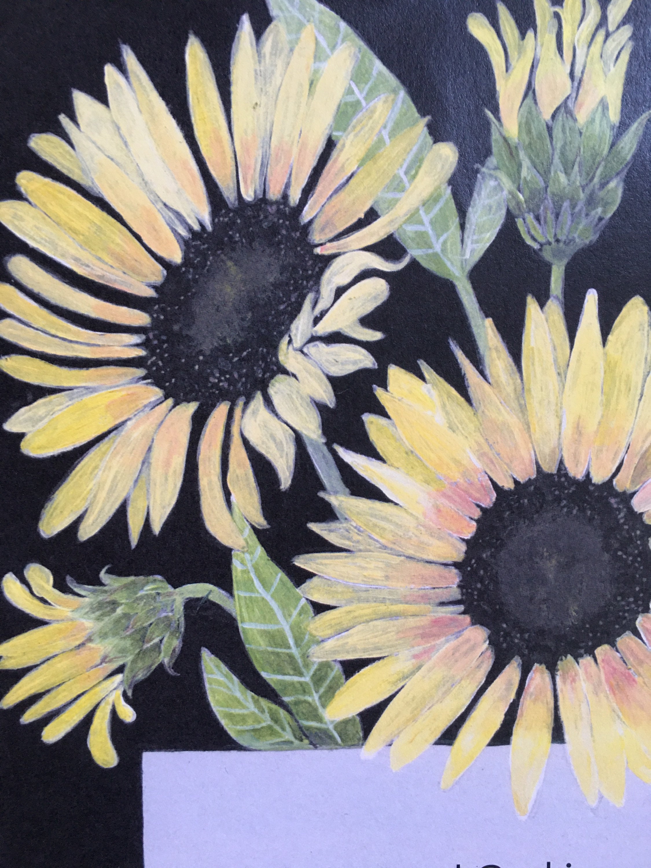 Sunflower Gift, Sunflowers Bible Verse Print, Sunflowers and Bible ...