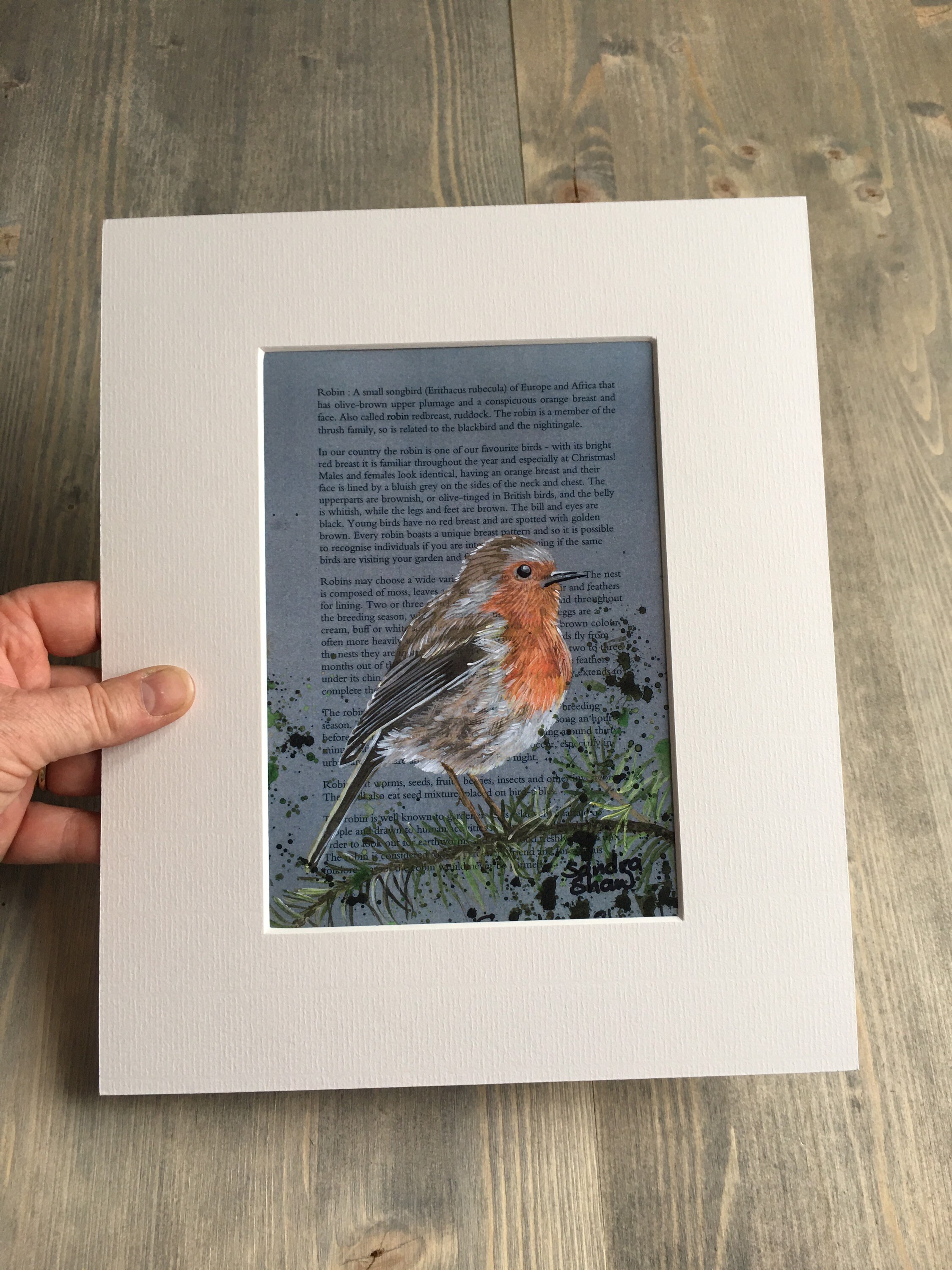 Buy Cute Robin Print Robin Acrylic Print Robin on Branch Print Cute ...