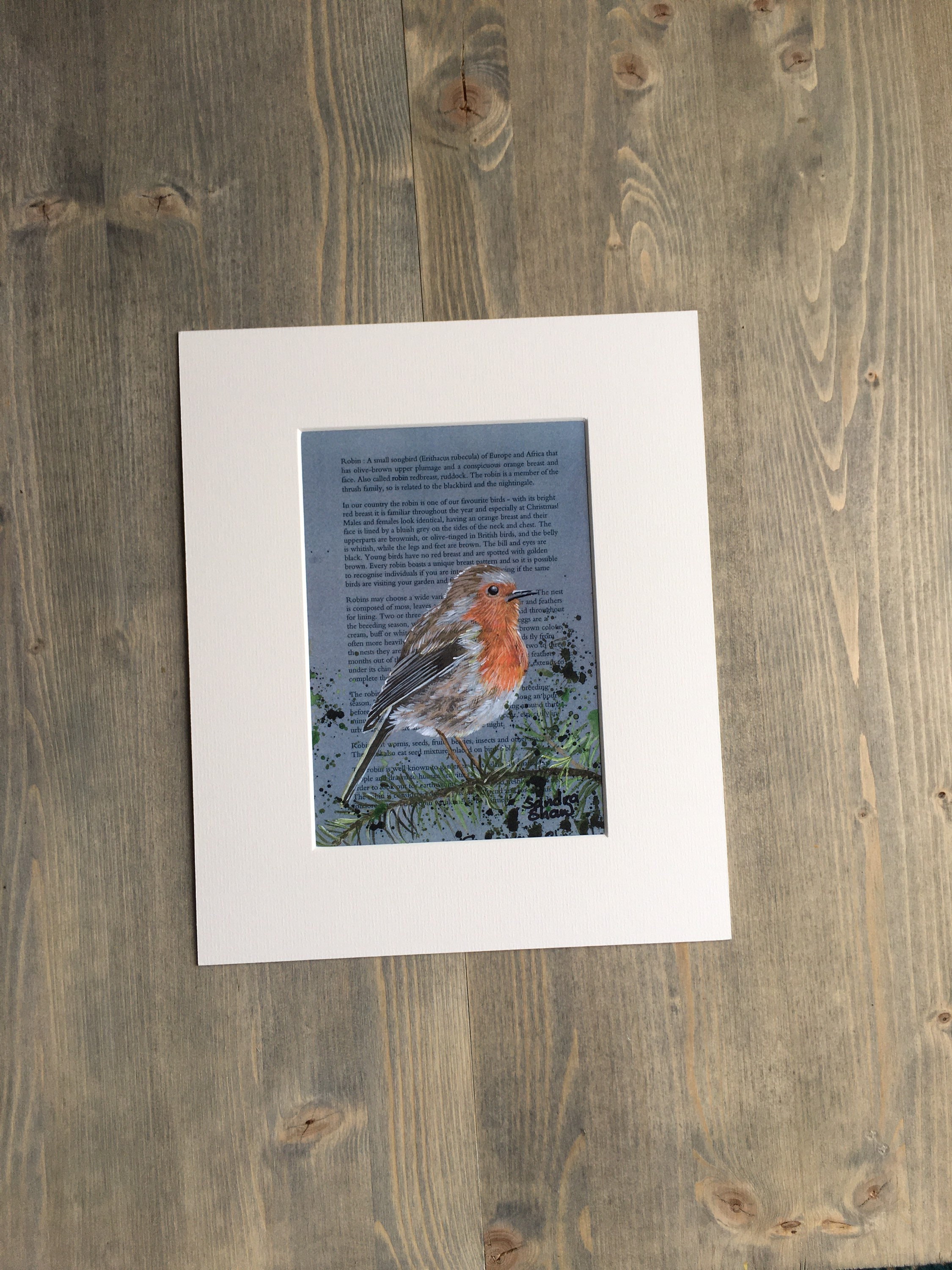 Buy Cute Robin Print Robin Acrylic Print Robin on Branch Print Cute ...