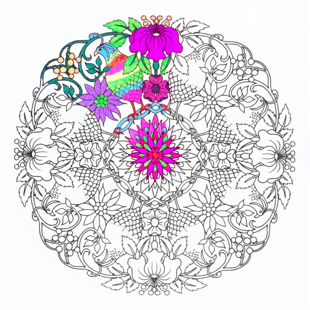 Instant Download – Archive No. 150621 | “quail Mandala” | Fine-line ...