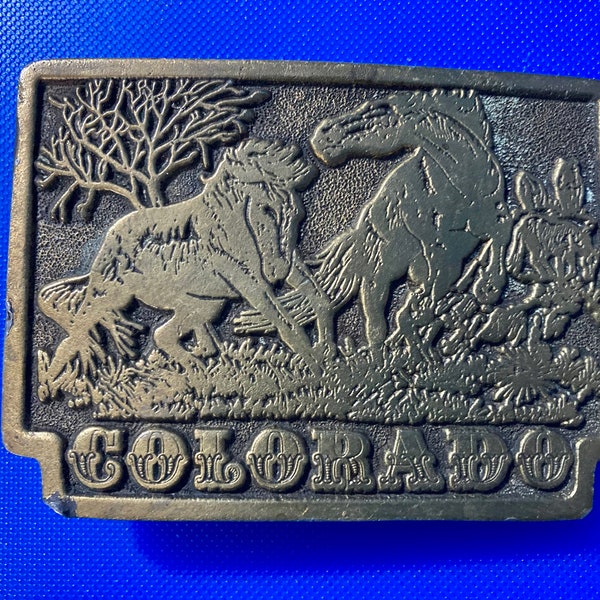 Colorado Belt Buckle - Etsy