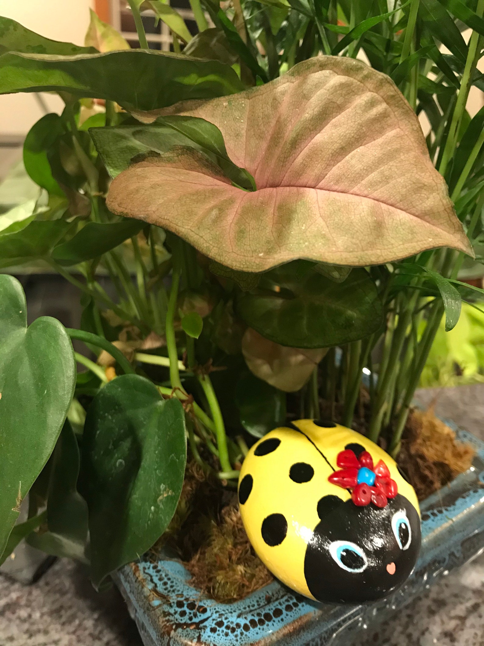 Painted Ladybug Rocks - Etsy