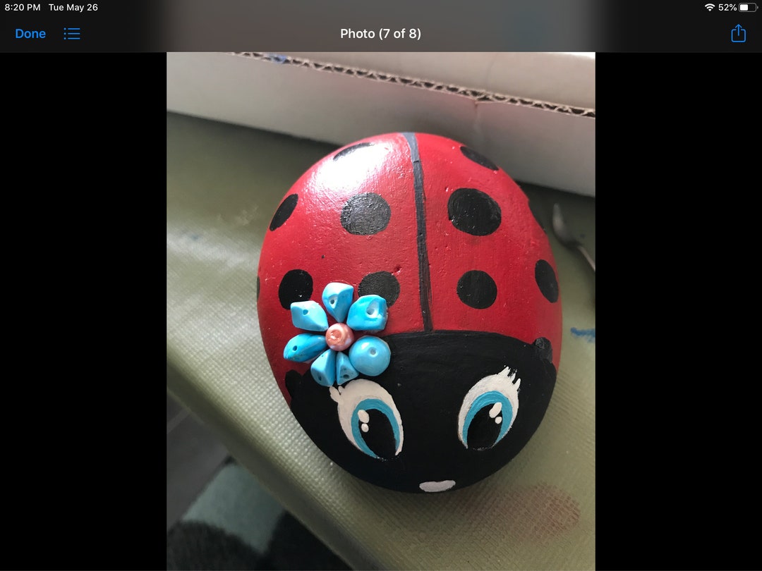 Rock Painted Lady Bugs. - Etsy