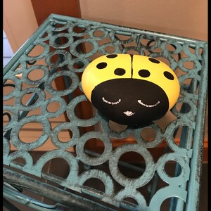 Rock Painted Lady Bugs. - Etsy