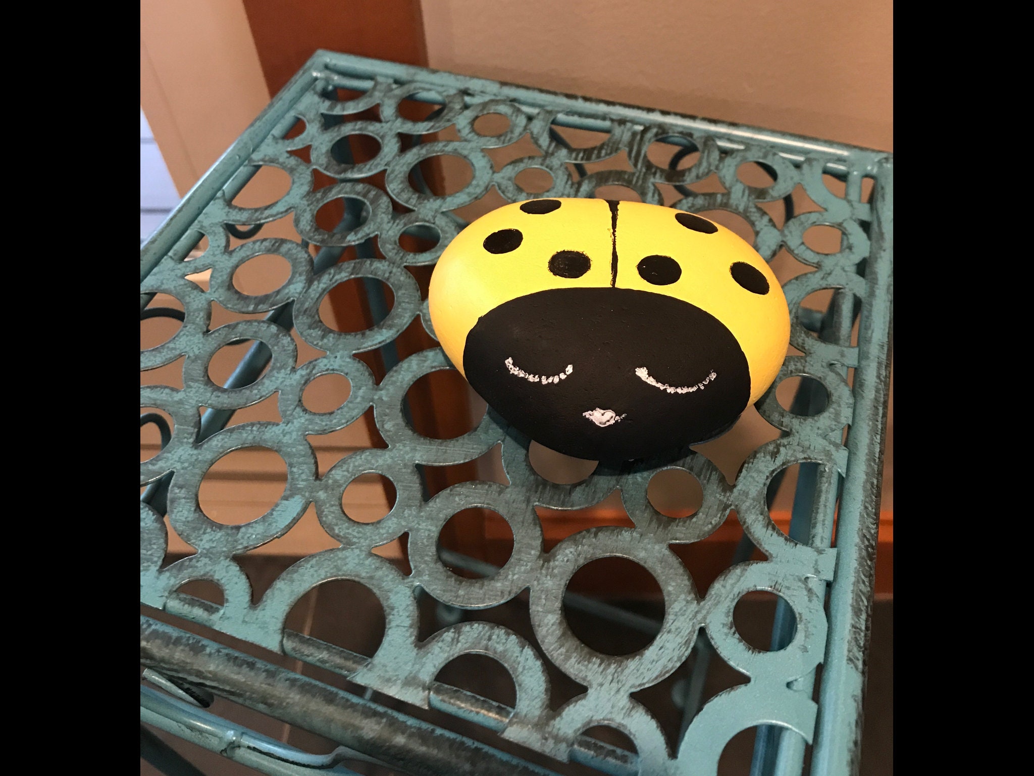 Painted Ladybug Rocks - Etsy