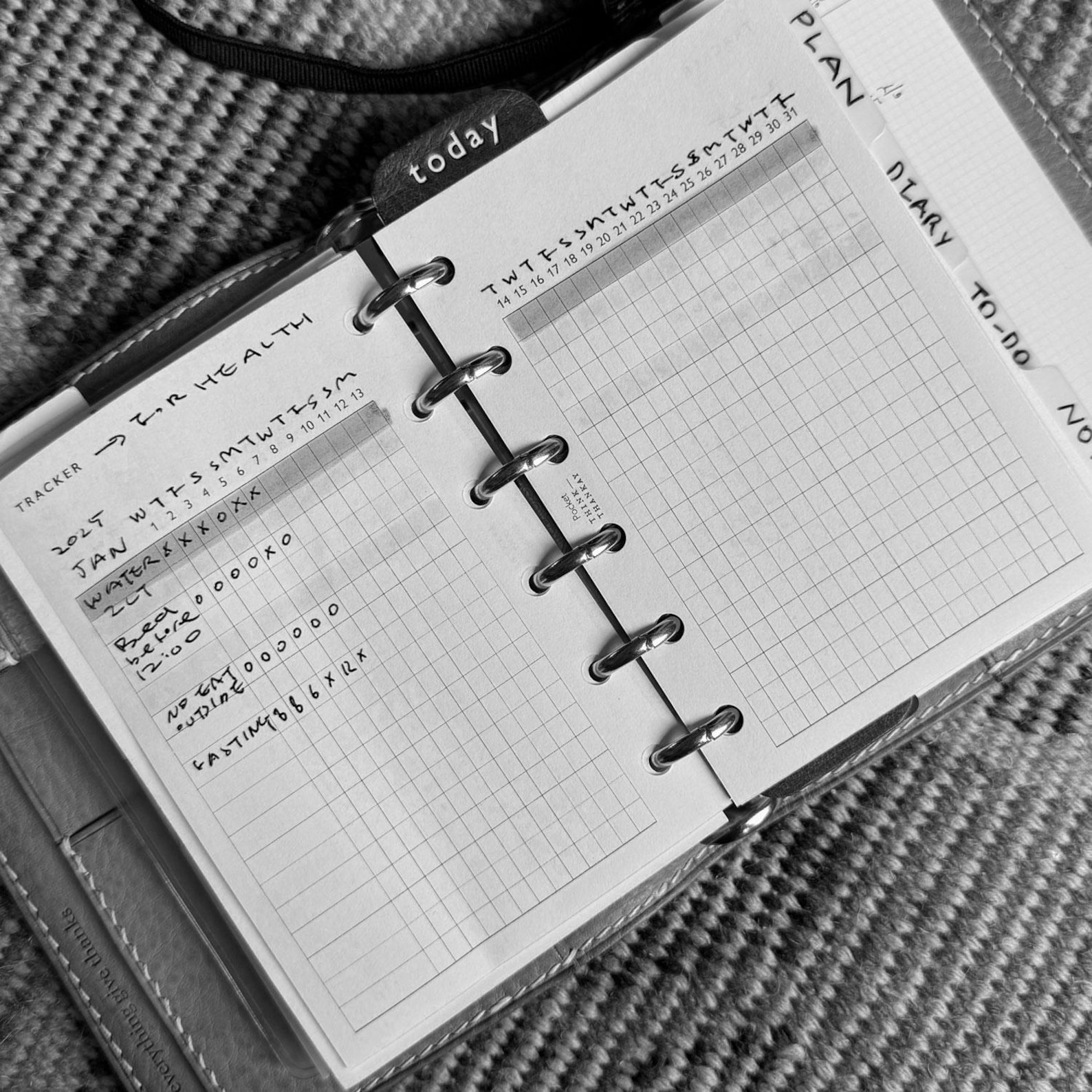 POCKET Size 31 Days Tracker Printable Inserts / Agenda Printable / Ring ...