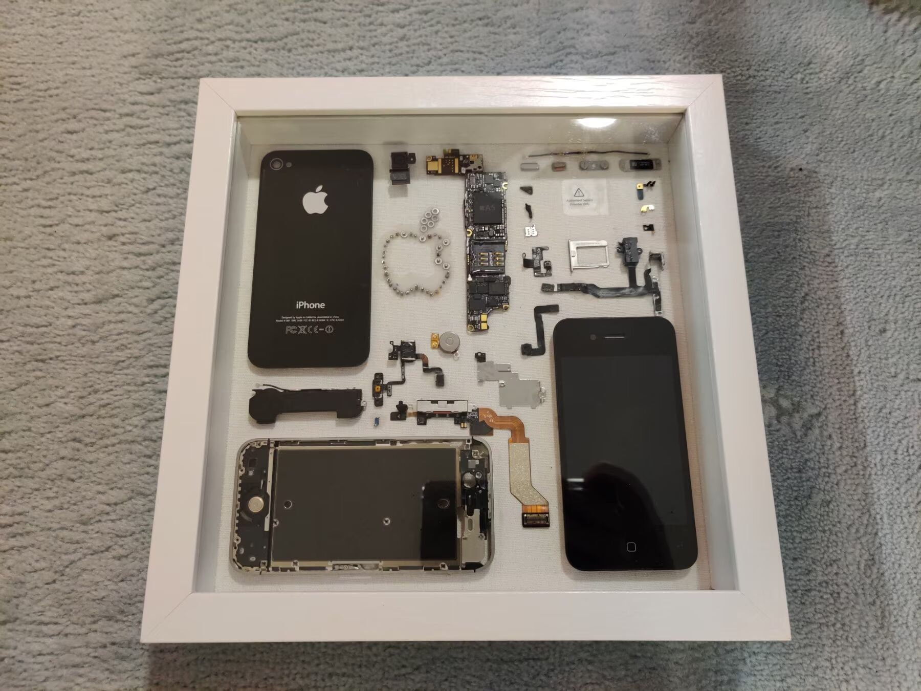 Apple iPhone 4S Teardown/framed/disassembled Cell Phone Component ...
