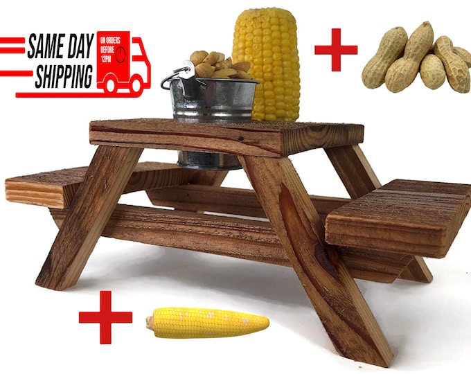 2 in 1 Dual Feeder Squirrel, Chipmunk, & Bird Picnic Table Feeder Corn ...