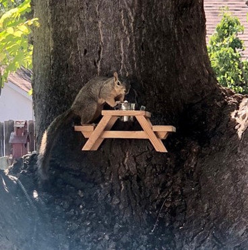2 in 1 Dual Feeder Squirrel Chipmunk & Bird Picnic Table - Etsy