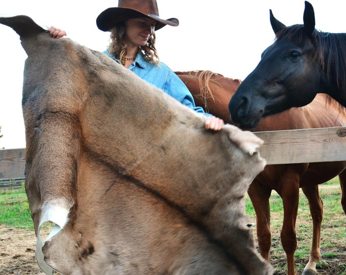 DEER SKIN Red Deer cervus Elaphus European Deer, Deer Rug, Sheepskin ...