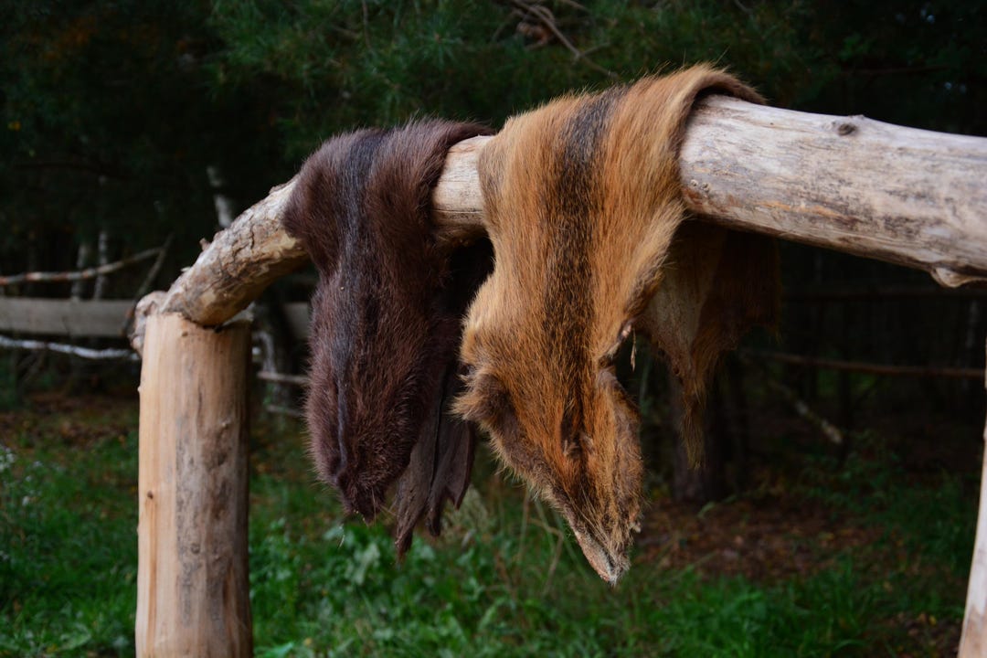 Genuine Nutria (coypu) Fur – Soft, Luxurious Pelt for Crafts & Fashion ...