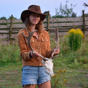 Fallow Deer dama Damaperfect Wall Decoration Present Set, Gift, Country ...