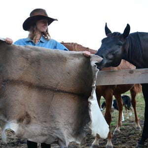 DEER SKIN, Red Deer (cervus Elaphus) European Deer, Deer Rug, Sheepskin ...