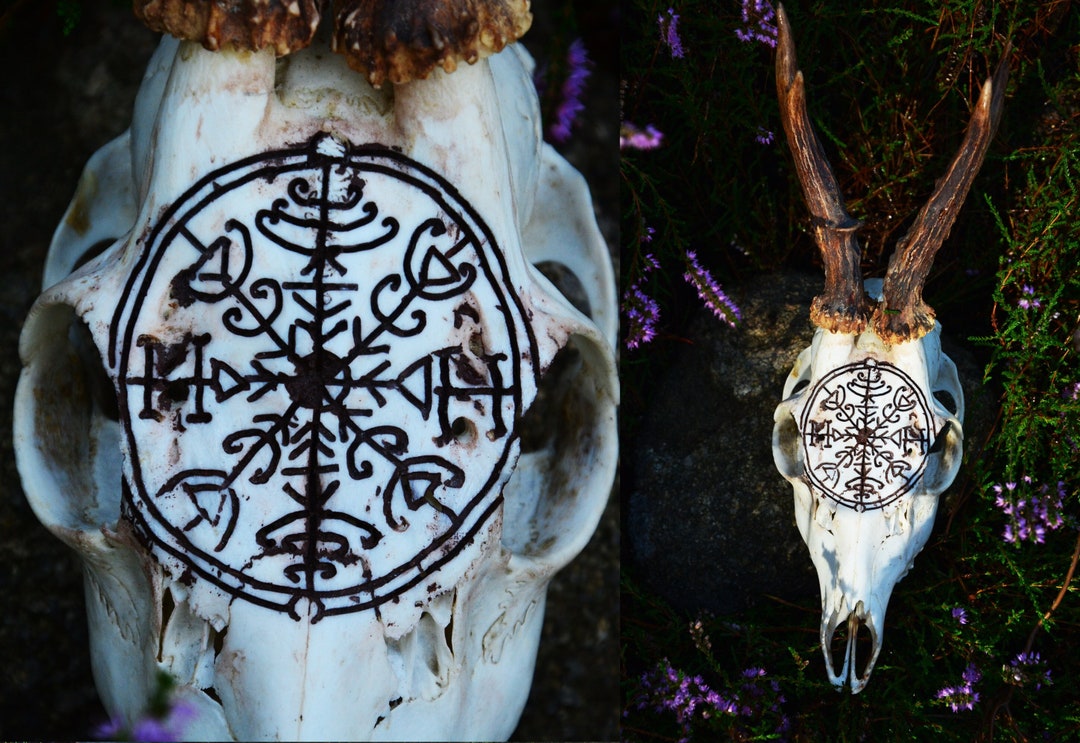 Carved Roe Deer Skull Aegishjalmur: the Helm of Awe Dream Rune Vikings ...