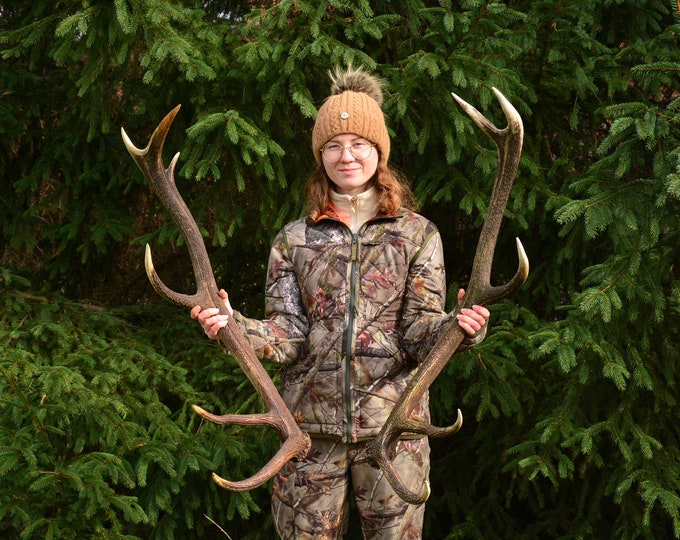 HUGE Antler Pair Red Deer Antlers 5kg Antlers cervus - Etsy