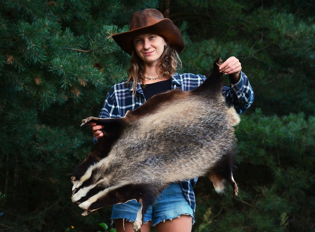 Natural Badger Skin From Central Europe, Echoes of Forest, Badger Fur ...