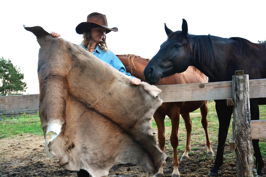 DEER SKIN, Red Deer (cervus Elaphus) European Deer, Deer Rug, Sheepskin ...