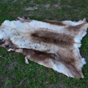 Exclusive Reindeer Skin, Natural Reindeer Pelt, Fur, Home Decor ...
