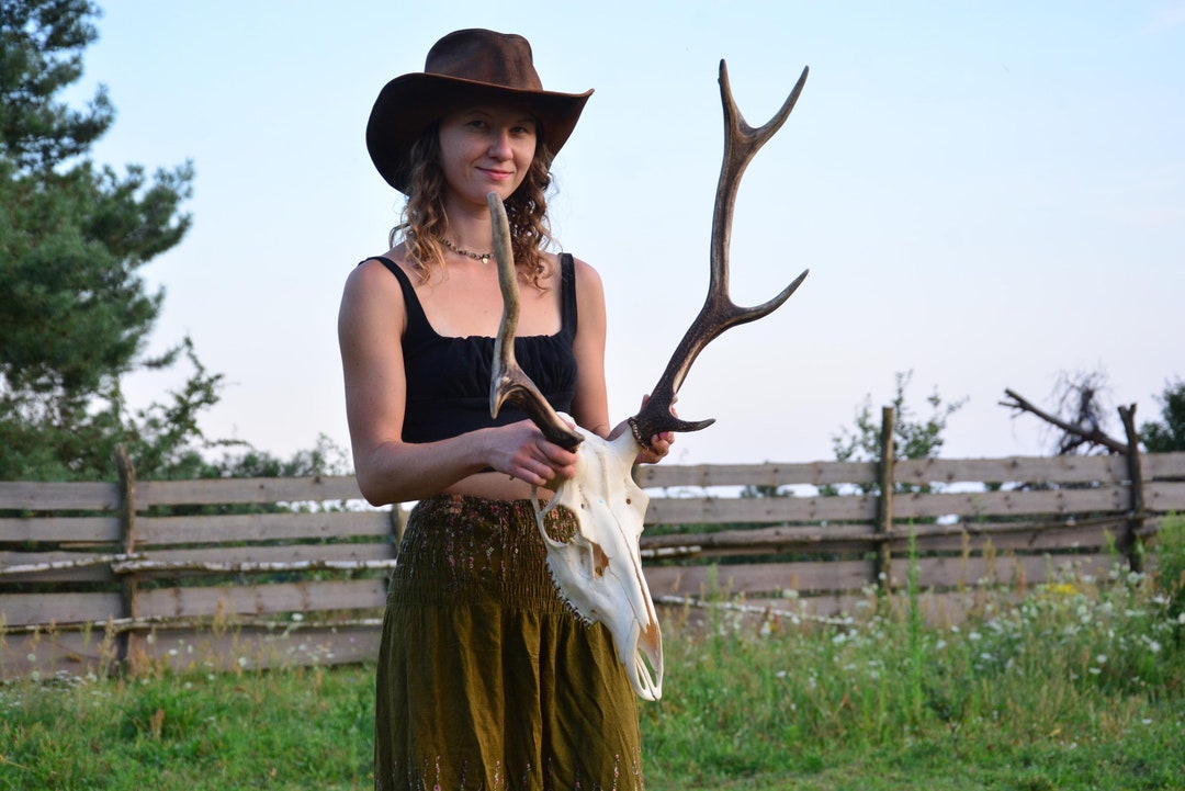 FREAK! Real Carpathian Deer Skull European Red Deer Real Skull Home ...