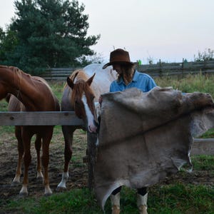 DEER SKIN, Red Deer (cervus Elaphus) European Deer, Deer Rug, Sheepskin ...