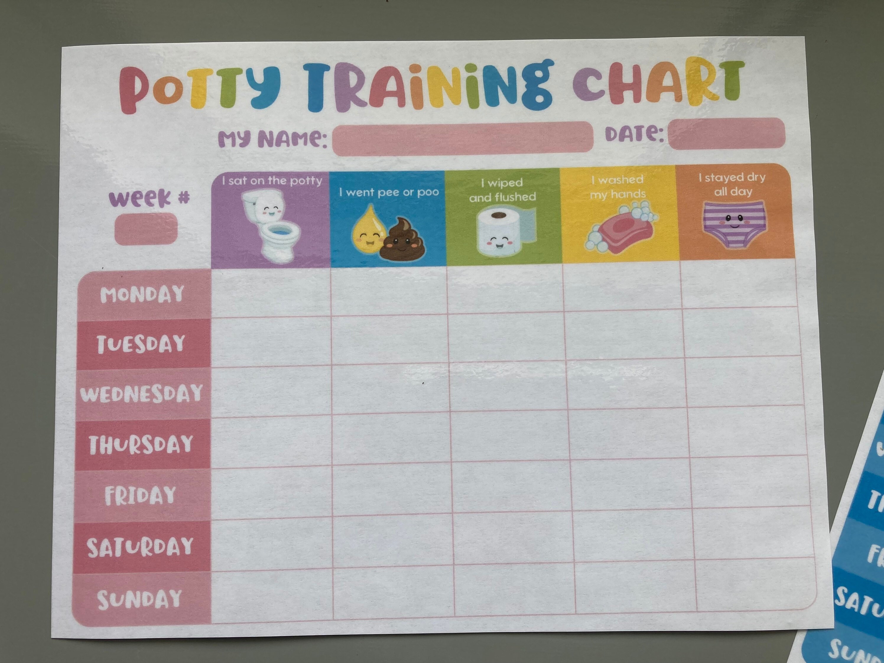 Potty Training Chart With Icons Pink or Blue With Dry Erase Marker and ...