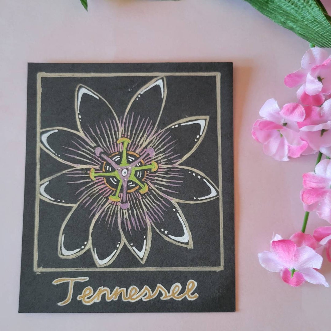Tennessee state flower: Passion flower flowers with meaning - Etsy.de
