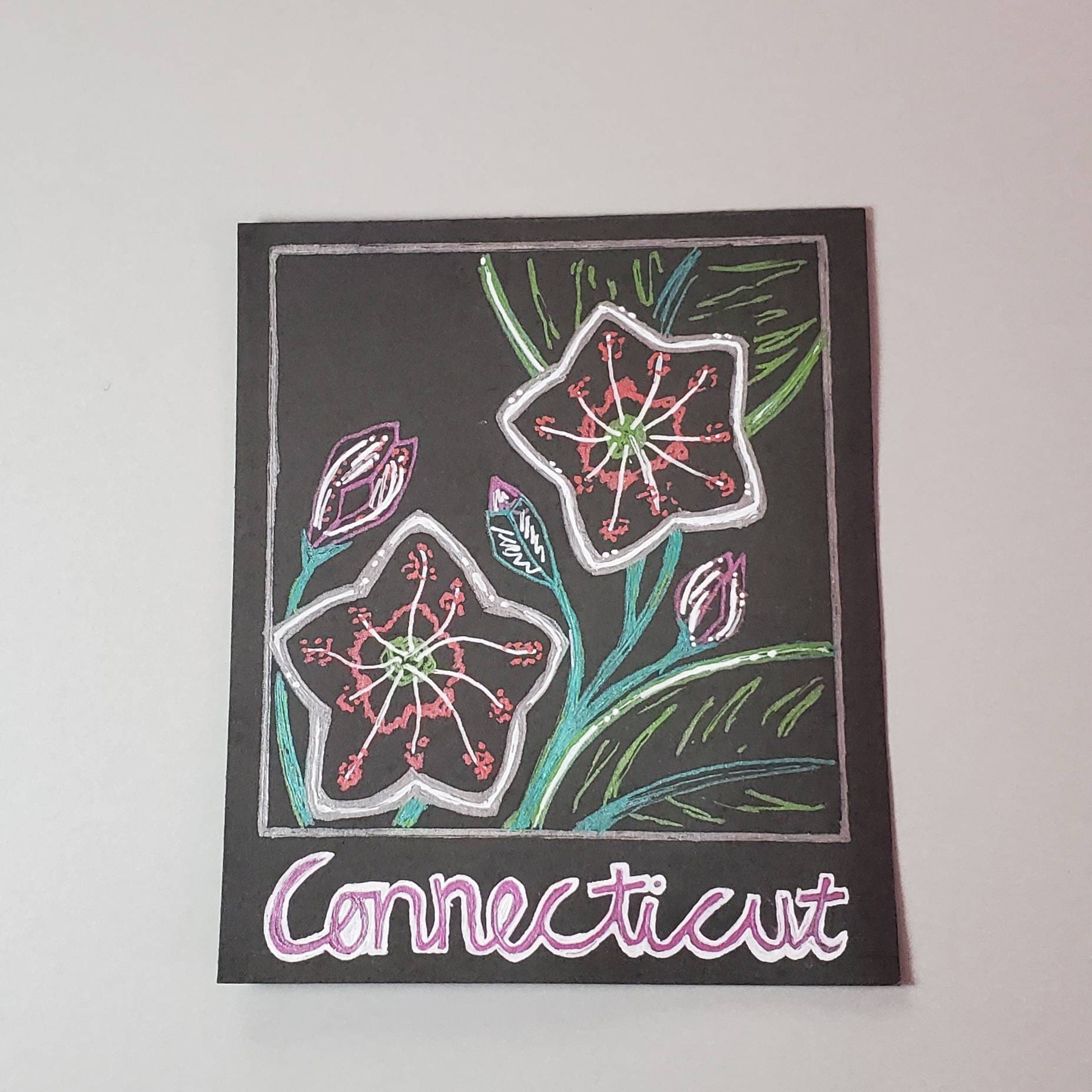 Connecticut State Flower: Mountain Laurel Flowers With - Etsy