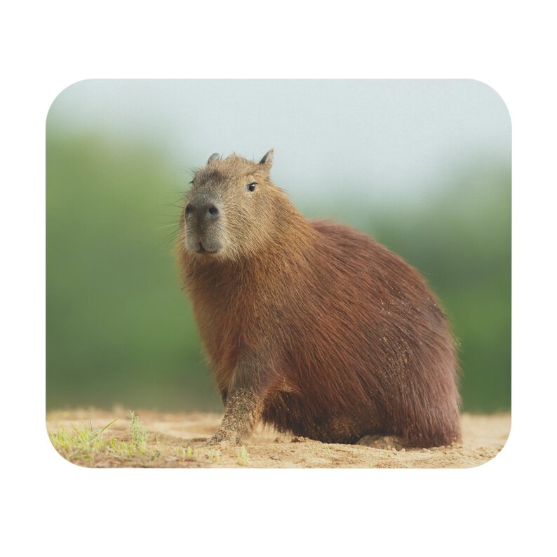 Capybara Mouse Pad - Etsy