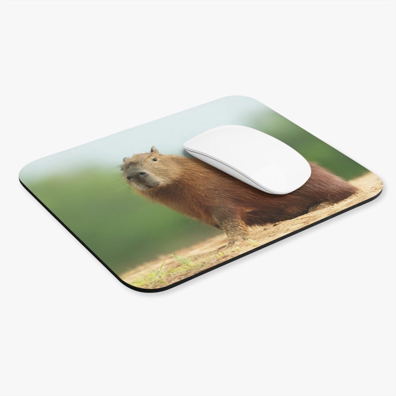 Capybara Mouse Pad - Etsy