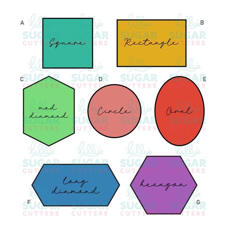 Standard Shapes Cookie Cutters - Etsy