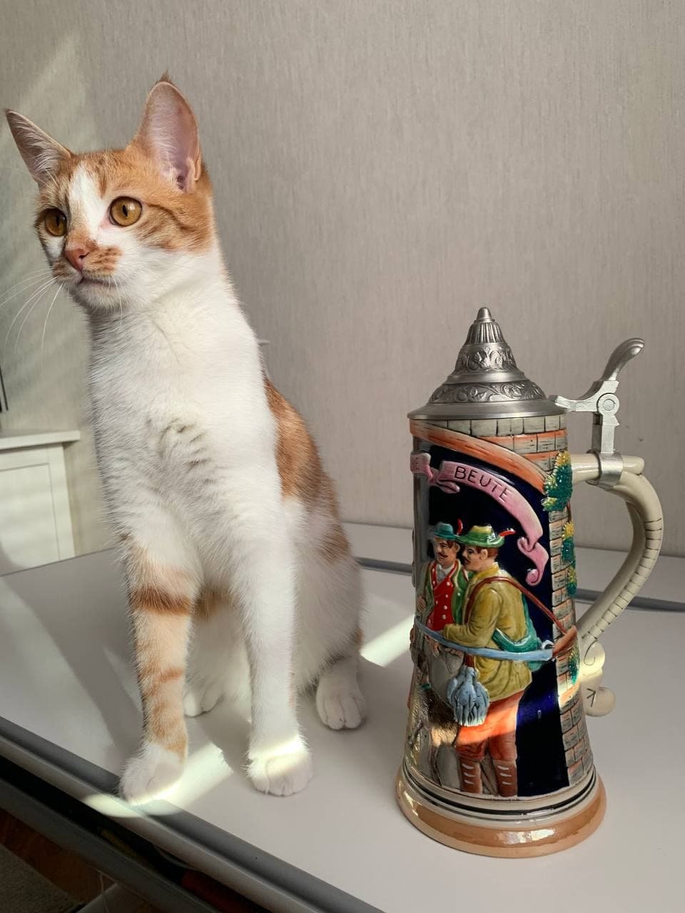Cat Beer Stein