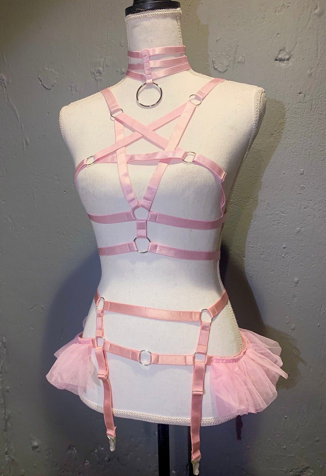 NEW Two-piece Pink Harness Set - Etsy