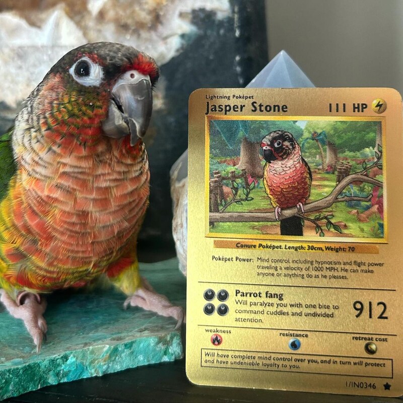 Personalized Pokemoncard - Etsy