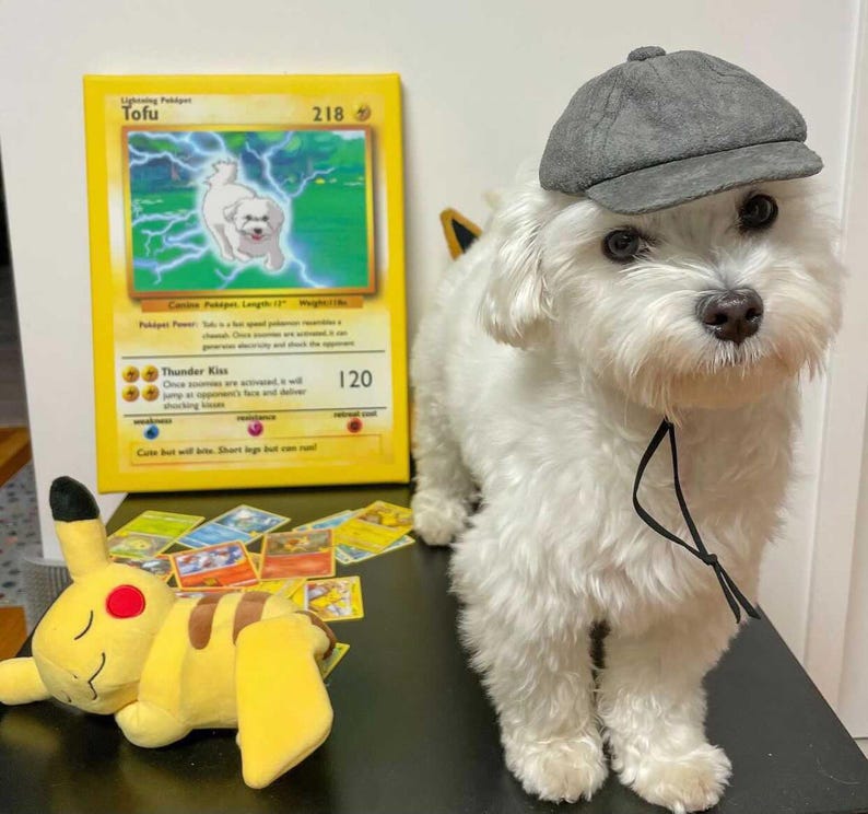 Custom Pokemon Cards, Personalized Pokémon Cards, Pokemon Gifts ...