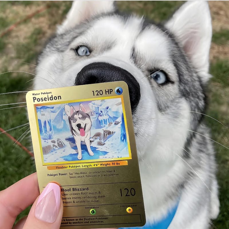 Pokenots - Etsy Canada