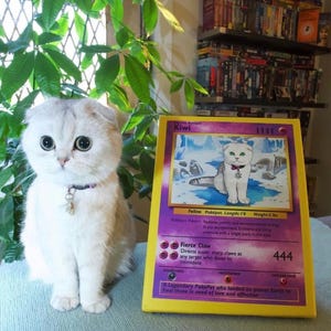 Custom Pet Portrait, Custom Dog Portrait, Custom Pokemon Cards ...