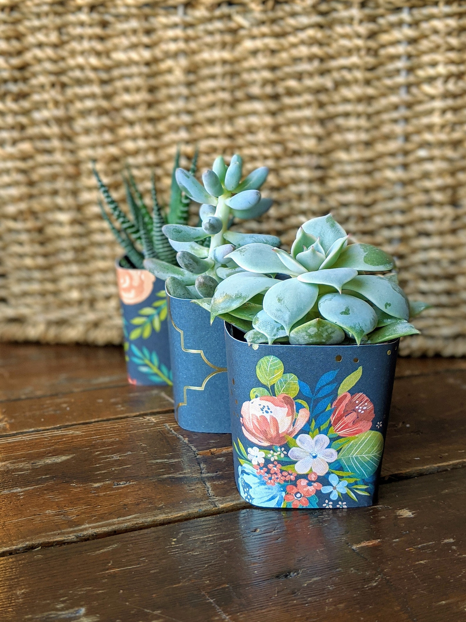 Succulent Wraps 5 Succulent Favors 2 Plant Wrap Custom | Etsy