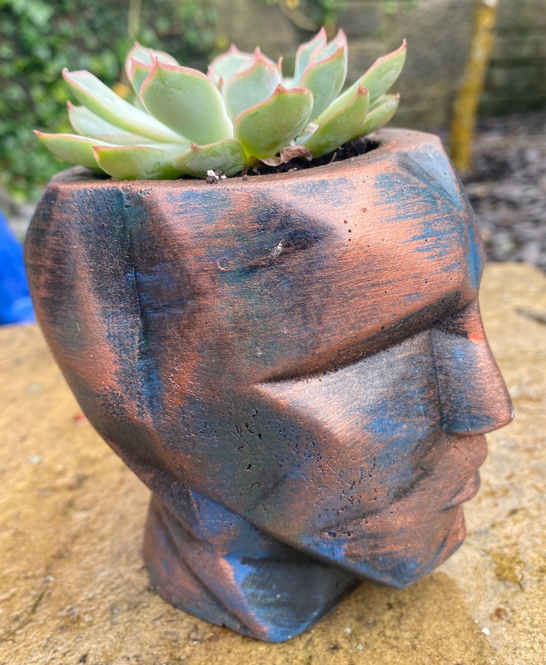 Handmade Polygon Head Plant Pot & Live Succulent. Gift Present - Etsy
