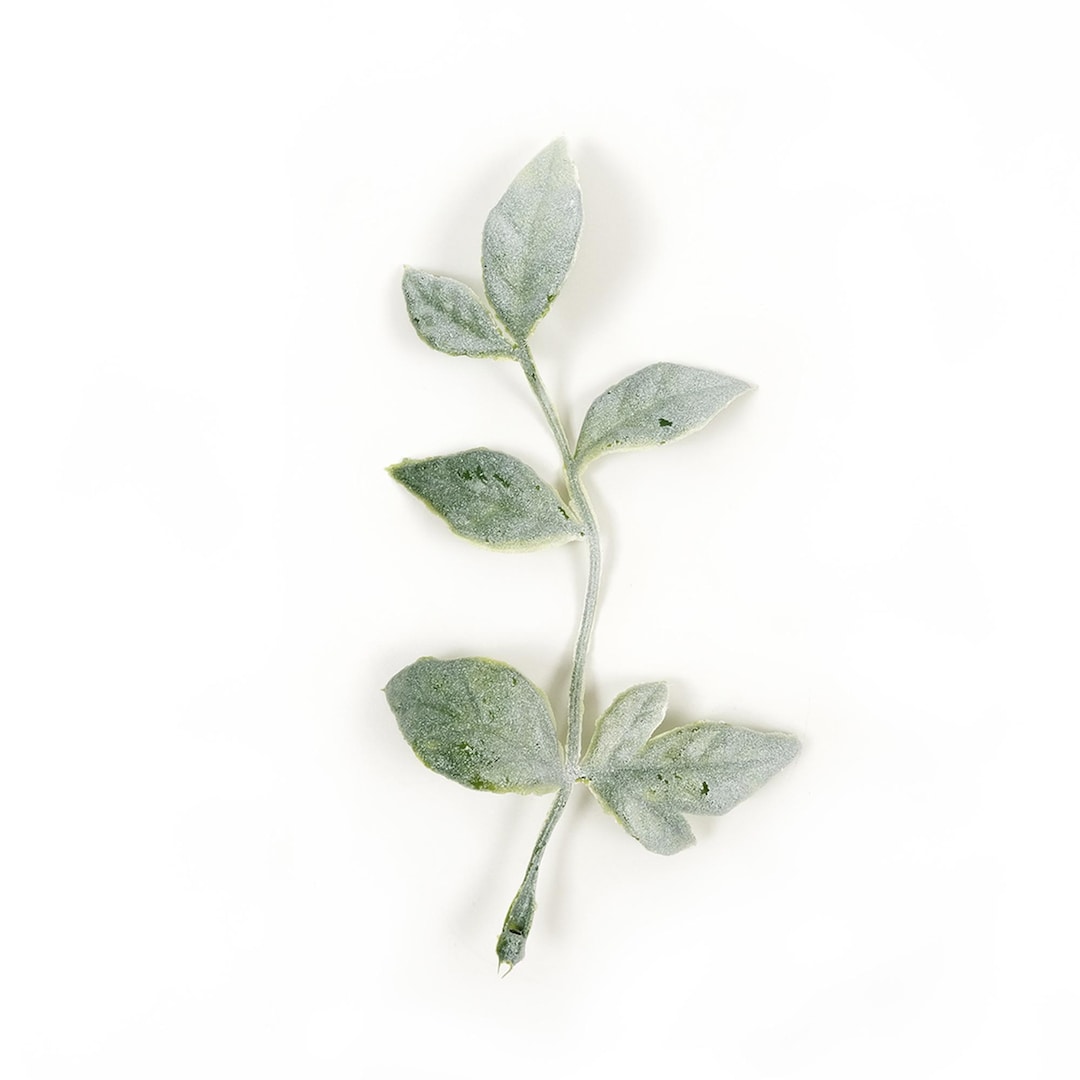 2-200pcs Artificial Greenery Leaves Stem W/dusty 5.9x2.9inch Fake ...
