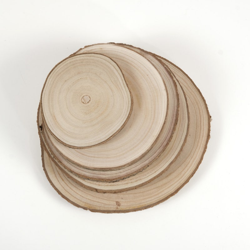 Wood Slices - Etsy