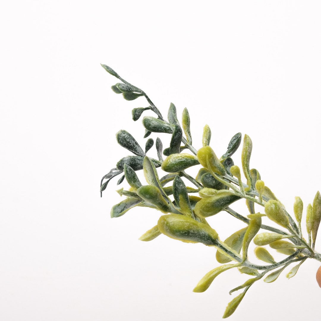 2/200P Plastic Boxwood Filler in Frosted Gray Green - Artificial Filler ...