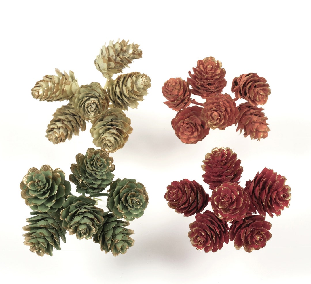1/5bundle Small Wired Pinecone 4colors Pine Cone for DIY Crafts Wreath ...