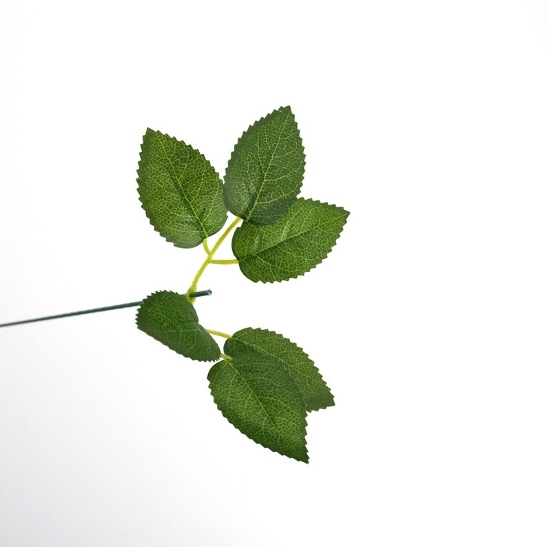 Artificial Silk Fake Green Leaf-rose Flower/faux Leaves - Etsy