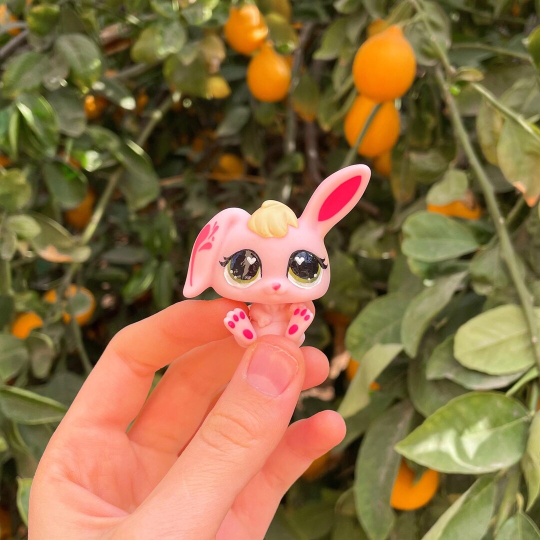 LPS Eye Repaint Bunny Pink Heart Eyes - Etsy