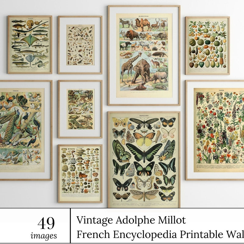 Adolphe Millot - Etsy